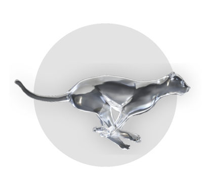 English – SYNOLIS | Designed for your movements